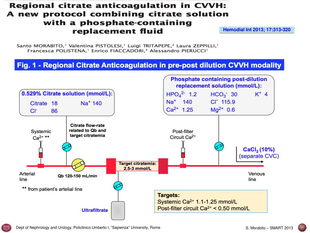 PPT - Sistemi integrati per CRRT: gestione e monitoraggio del ...