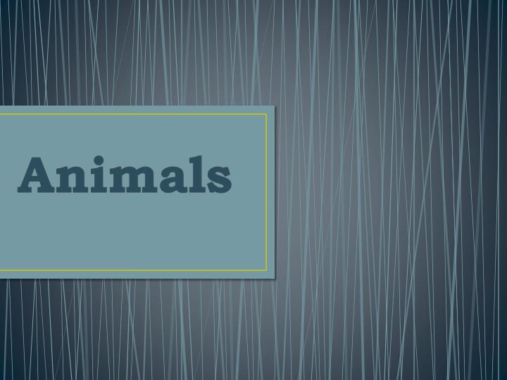 PPT - Animals PowerPoint Presentation, free download - ID:3450650