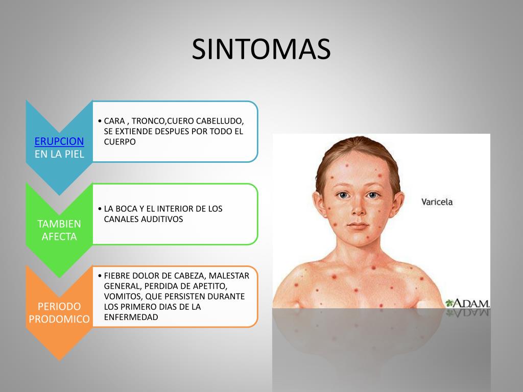 PPT - PRESENTADO POR: NANCY LUCIA LIZETH DUQUE JOHANA ZAPATA PowerPoint ...