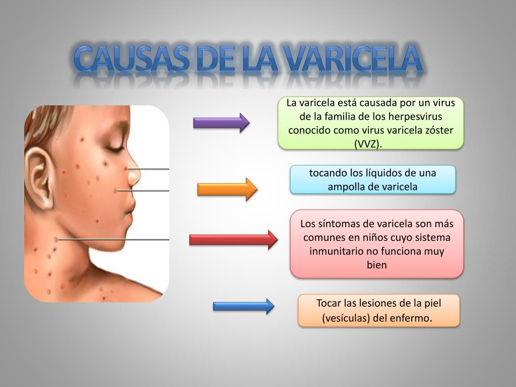 PPT - PRESENTADO POR: NANCY LUCIA LIZETH DUQUE JOHANA ZAPATA PowerPoint ...