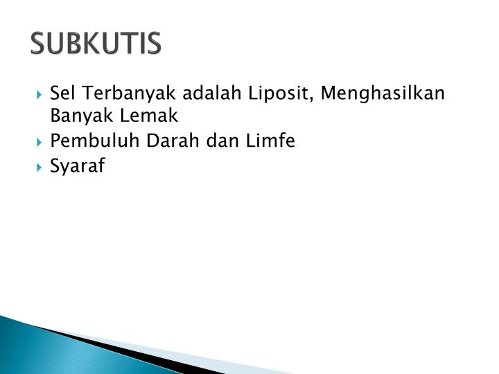 PPT - ANATOMI DAN FISIOLOGI KULIT PowerPoint Presentation - ID:3452303