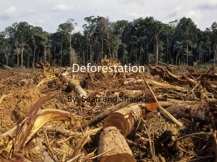 PPT - Deforestation PowerPoint Presentation, free download - ID:3452498