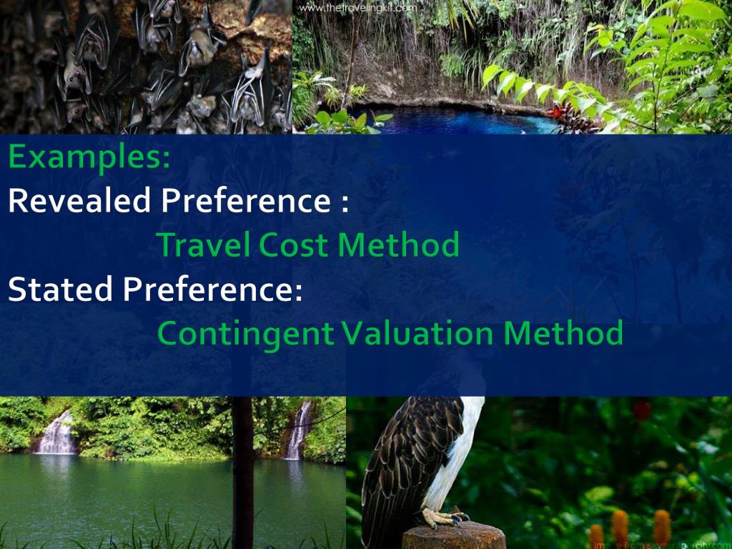 PPT - Economic V aluation of ENVIRONMENTAL & NATURAL RESOURCES ...
