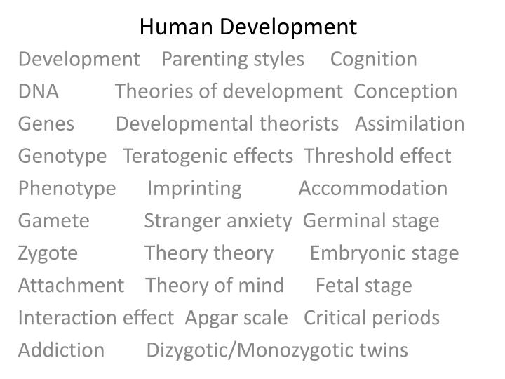 PPT - Human Development PowerPoint Presentation, free download - ID:3453392
