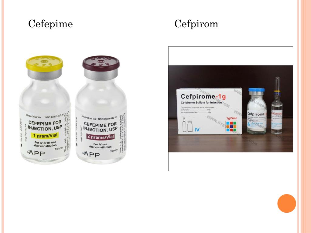 PPT - SEFALOSPORIN PowerPoint Presentation, free download - ID:3453843