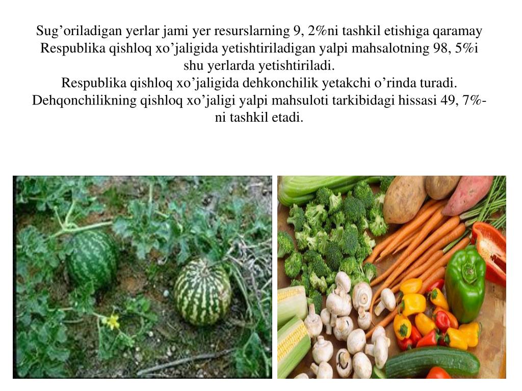 PPT - O’zbekiston qishloq xo’jaligi geografiyasi PowerPoint ...