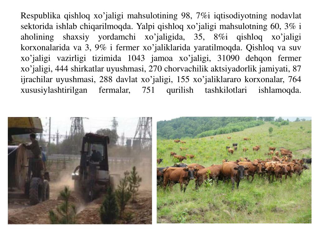 PPT - O’zbekiston qishloq xo’jaligi geografiyasi PowerPoint ...