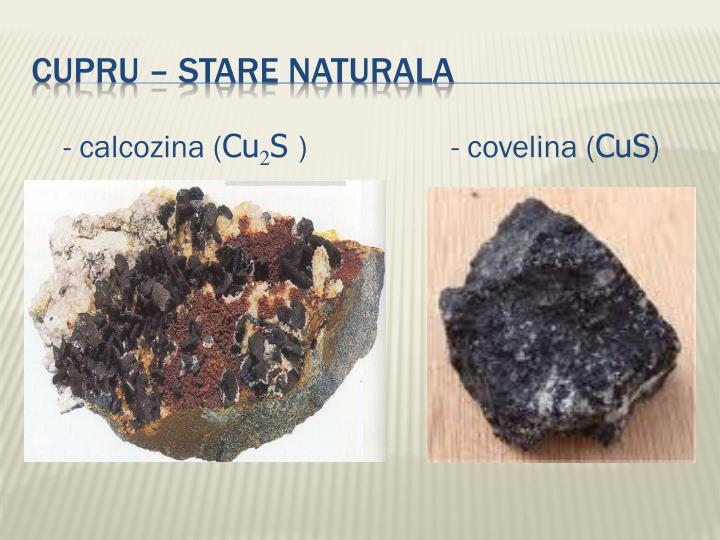 PPT - CUPRUL PowerPoint Presentation - ID:3454481