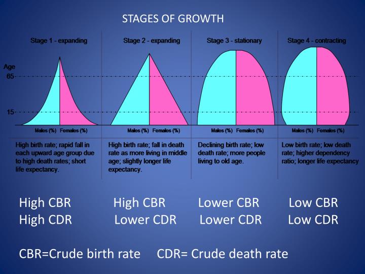 PPT - STAGES OF GROWTH PowerPoint Presentation, free download - ID:3456053