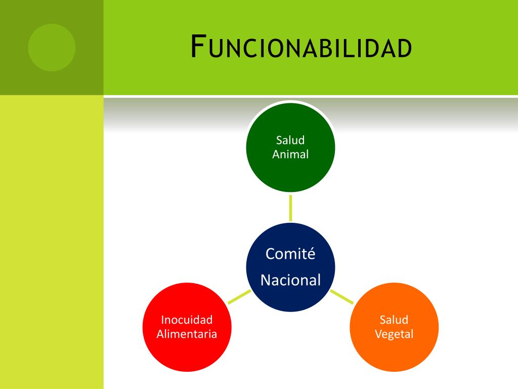PPT - Equipo de Trabajo No 5 Edwin Aragón Rafael Salas Jorge medina ...