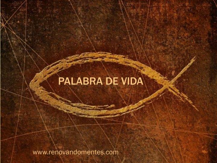 PPT - Palabra de Vida PowerPoint Presentation, free download - ID:3457562