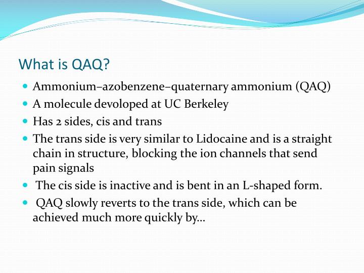 PPT - What is QAQ? PowerPoint Presentation, free download - ID:3458579