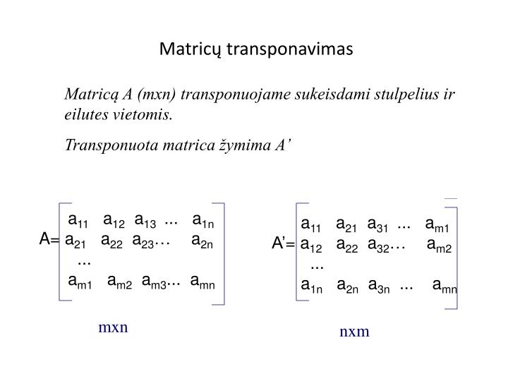 PPT - Matricų teorija PowerPoint Presentation - ID:3458925