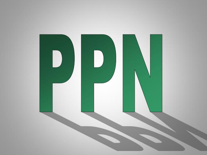 PPT - PPN PowerPoint Presentation, free download - ID:3459339