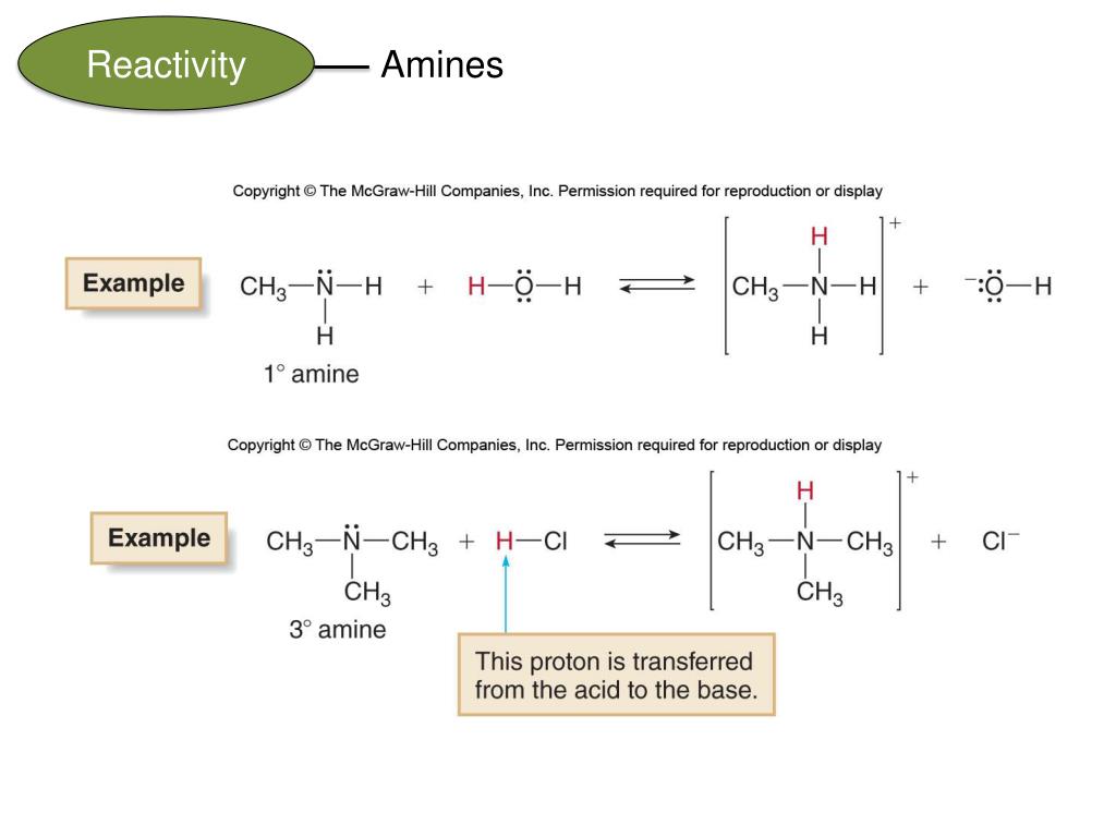 PPT - CHAPTER 18: Amines & Neurotransmitters General, Organic ...