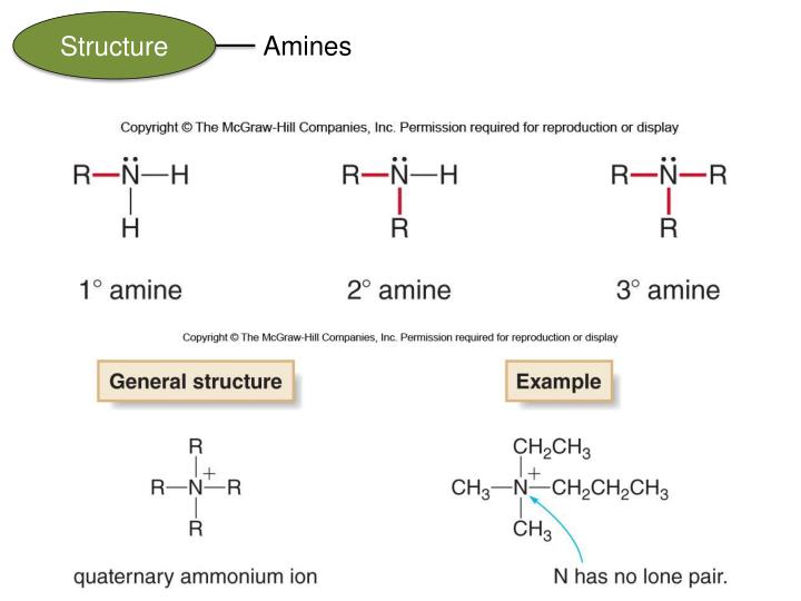 PPT - CHAPTER 18: Amines & Neurotransmitters General, Organic ...