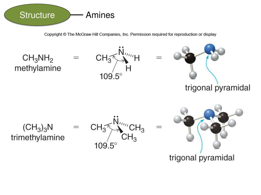 PPT - CHAPTER 18: Amines & Neurotransmitters General, Organic ...