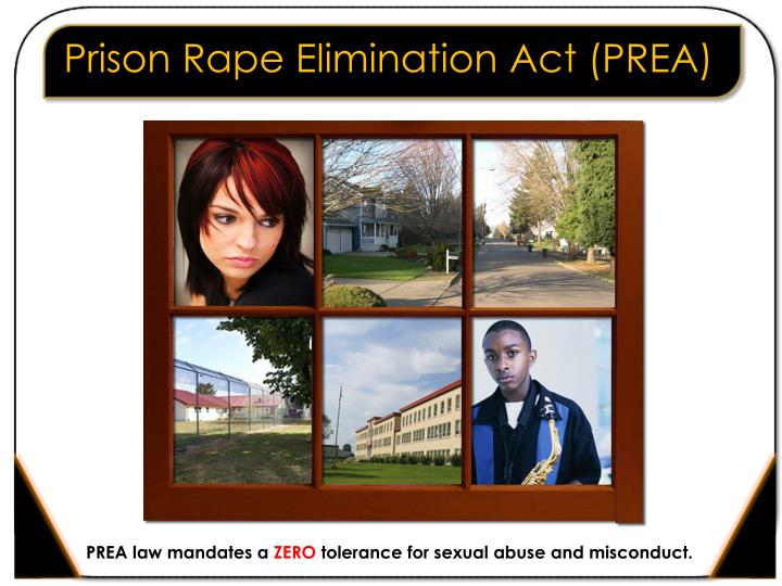 PPT - Prison Rape Elimination Act (PREA) PowerPoint Presentation, free ...