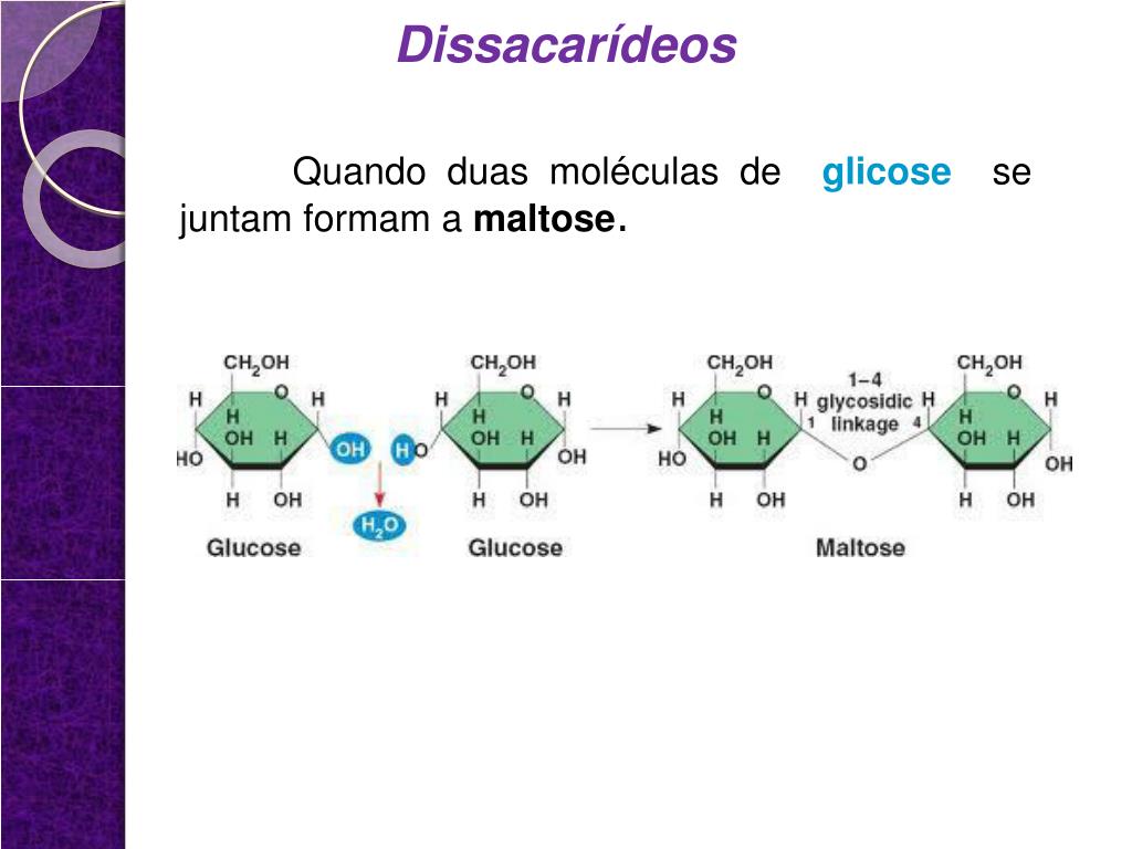 PPT - UNIVERSIDADE FEDERAL DO PAMPA ENGENHARIA DE ALIMENTOS DISCIPLINA ...