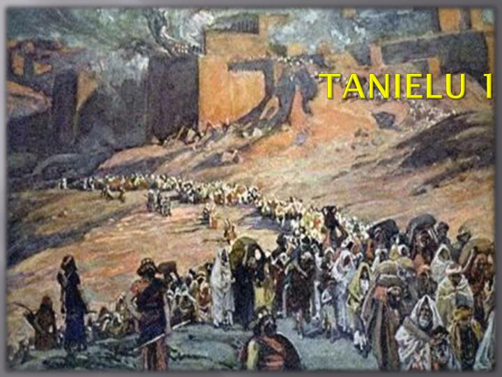 PPT - Tanielu 1 PowerPoint Presentation, free download - ID:3459768