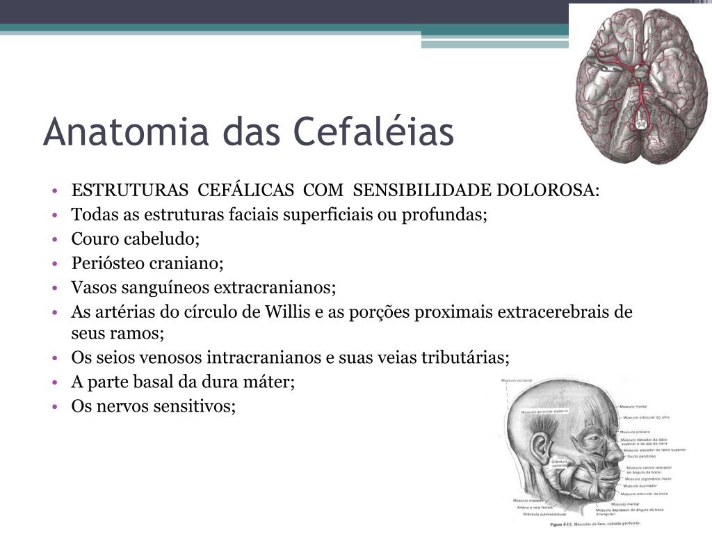 PPT - CEFALÉIAS PRIMÁRIAS PowerPoint Presentation, free download - ID ...