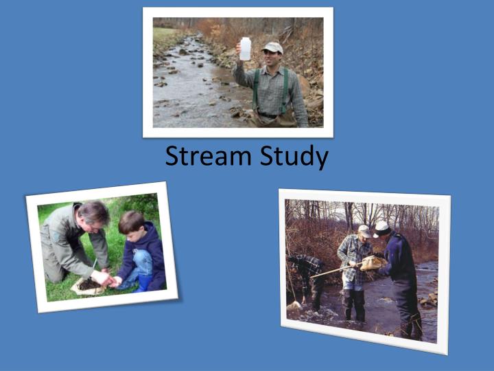 PPT - Stream Study PowerPoint Presentation, free download - ID:3462650