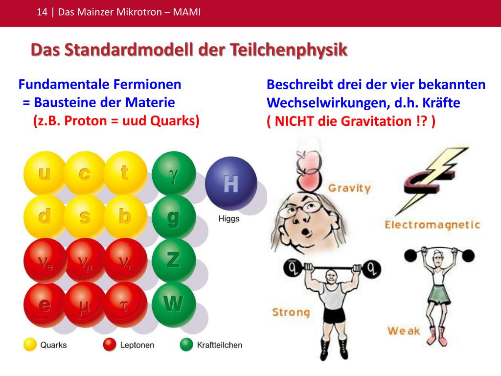 PPT - Das Mainzer Mikrotron MAMI Ein einzigartiger ...
