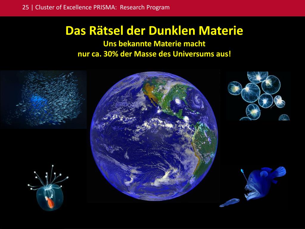 PPT - Das Mainzer Mikrotron MAMI Ein einzigartiger ...