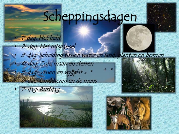 PPT - Schepping of Evolutie PowerPoint Presentation - ID:3463475