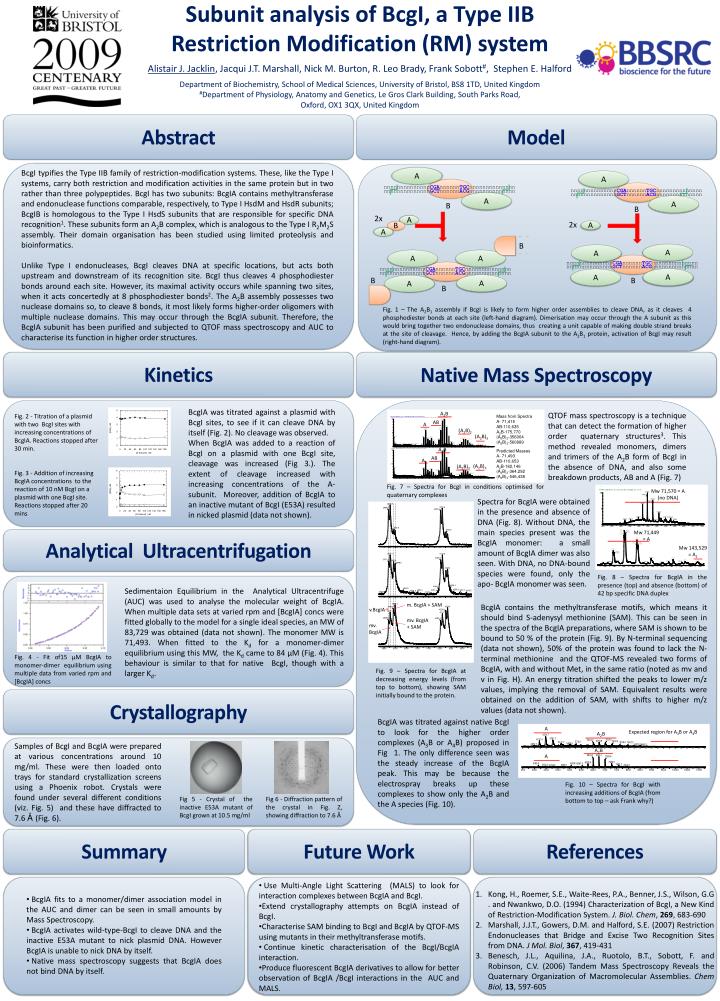 PPT - Subunit analysis of BcgI, a Type IIB Restriction Modification (RM ...