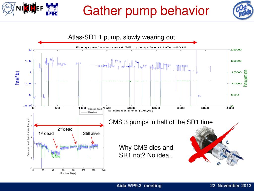 PPT - Ł ukasz Zwali ń ski, Bart Verlaat PowerPoint Presentation, free ...
