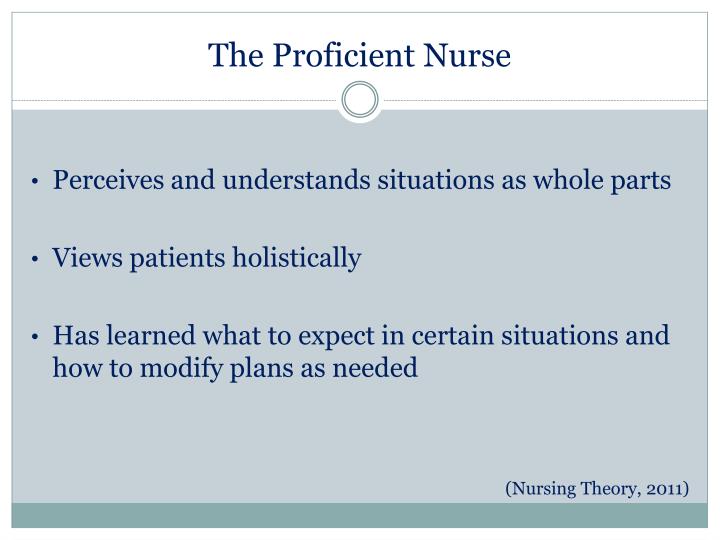 PPT - Patricia Benner R.N., Ph.D., F.A.A.N., F.R.C.N. PowerPoint ...