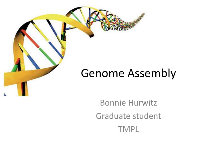 PPT - Genome Assembly PowerPoint Presentation, free download - ID:3465110