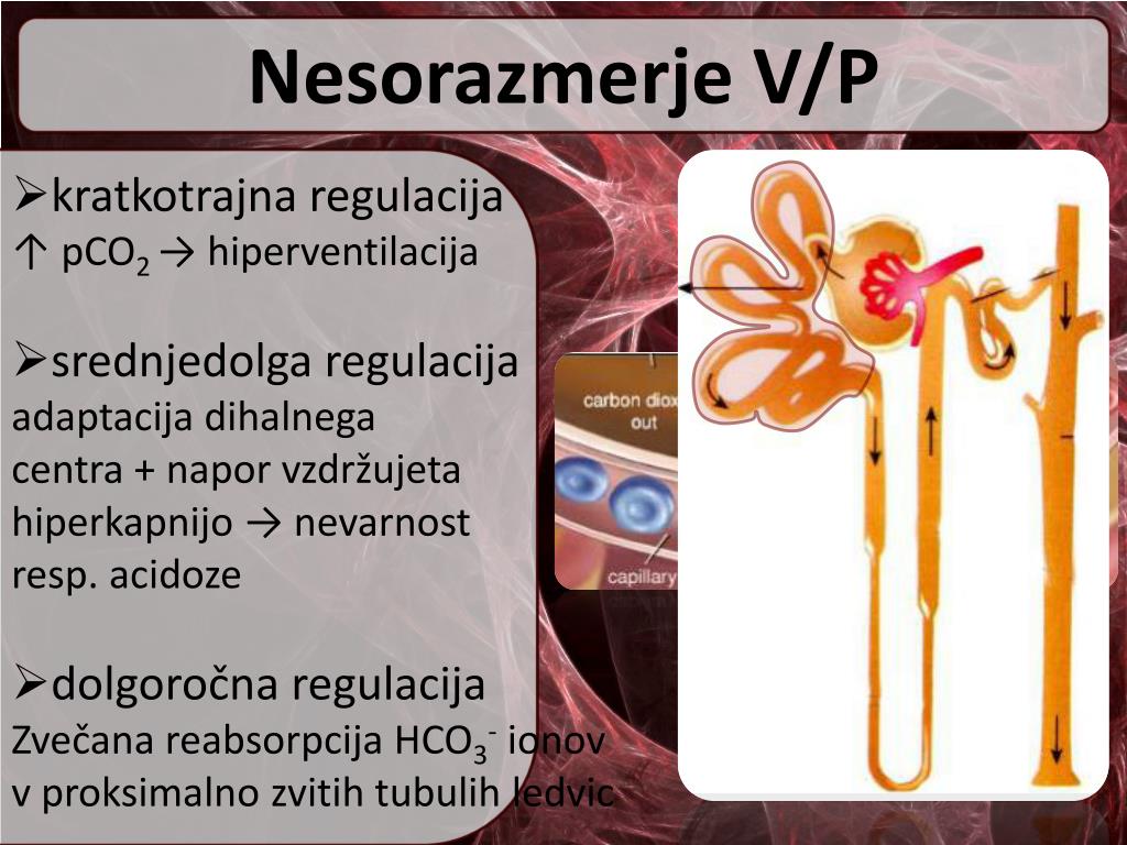 PPT - KOPB Kronična Obstruktivna Pljučna Bolezen PowerPoint ...
