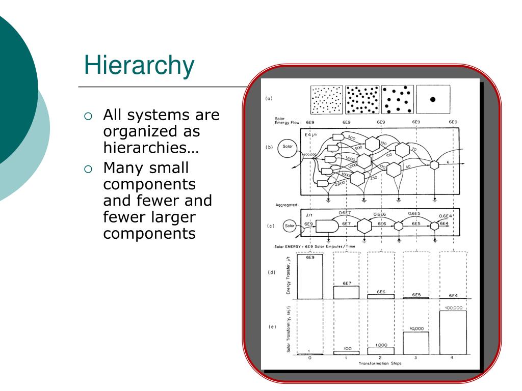 PPT - Emergy and Ecological Economics PowerPoint Presentation, free ...