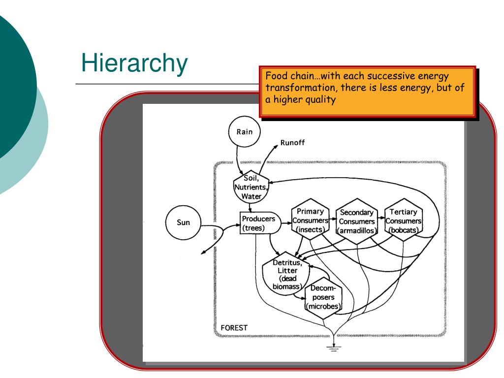 PPT - Emergy and Ecological Economics PowerPoint Presentation, free ...