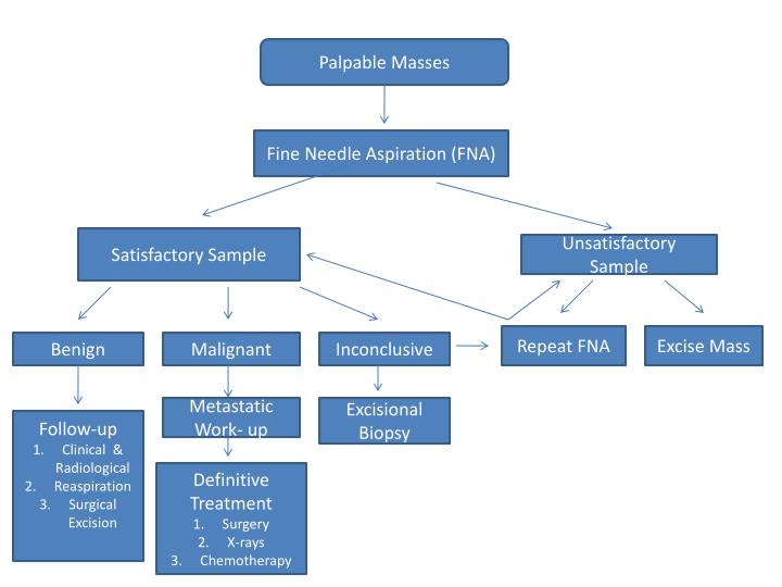 PPT - Palpable Masses PowerPoint Presentation, free download - ID:3465441