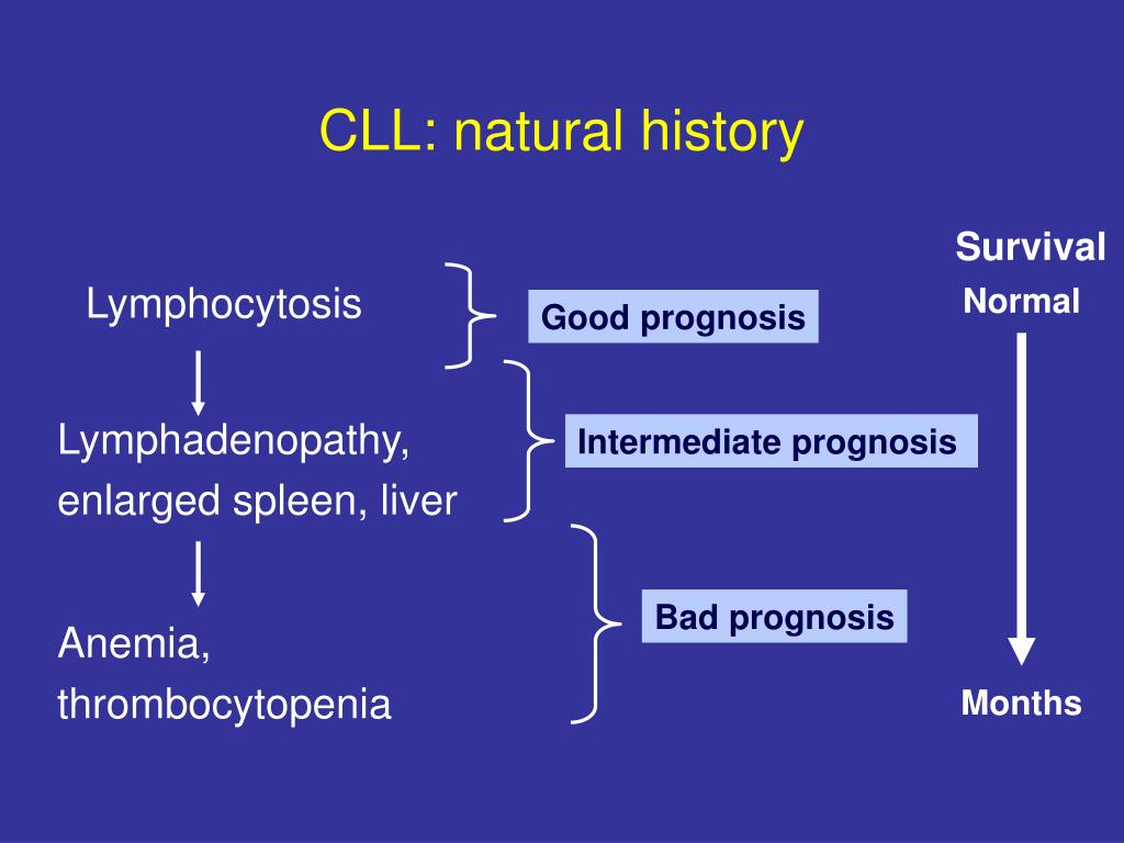 PPT - Chronic lymphocytic leukemia Prognosis and treatment PowerPoint ...