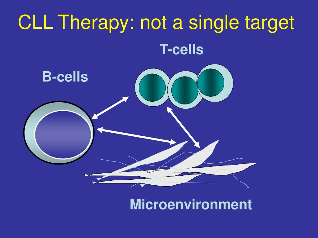PPT - Chronic lymphocytic leukemia Prognosis and treatment PowerPoint ...