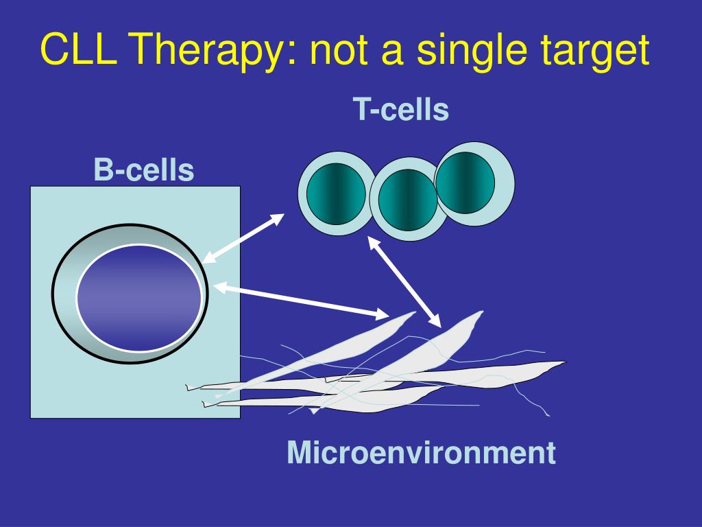 PPT - Chronic lymphocytic leukemia Prognosis and treatment PowerPoint ...