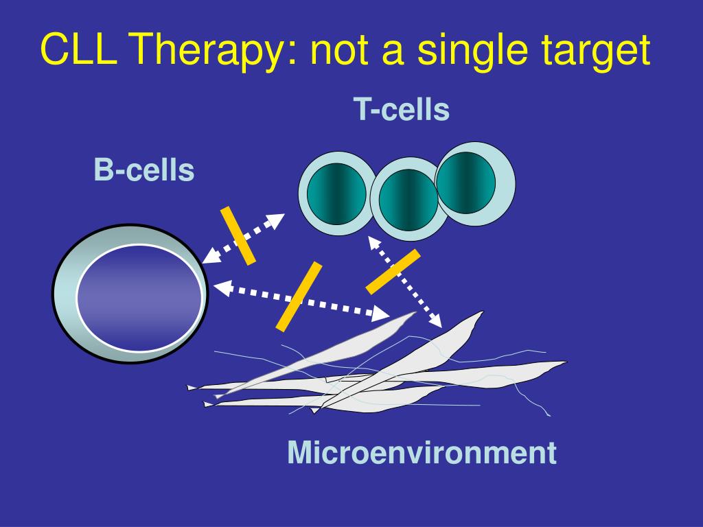 PPT - Chronic lymphocytic leukemia Prognosis and treatment PowerPoint ...