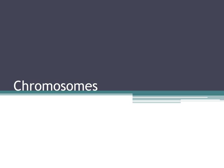 PPT - Chromosomes PowerPoint Presentation, free download - ID:3468238