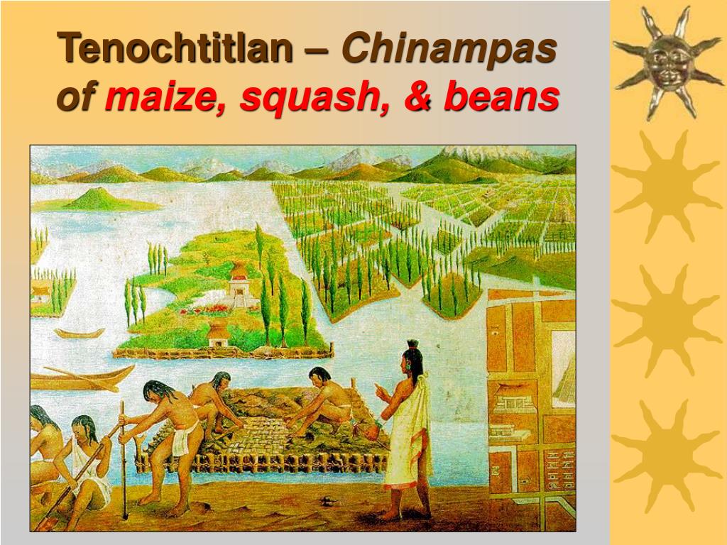 PPT - Ancient Civilizations of Latin America PowerPoint Presentation ...