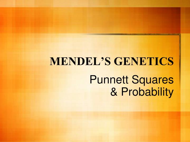 PPT - MENDEL’S GENETICS PowerPoint Presentation, free download - ID:3470425