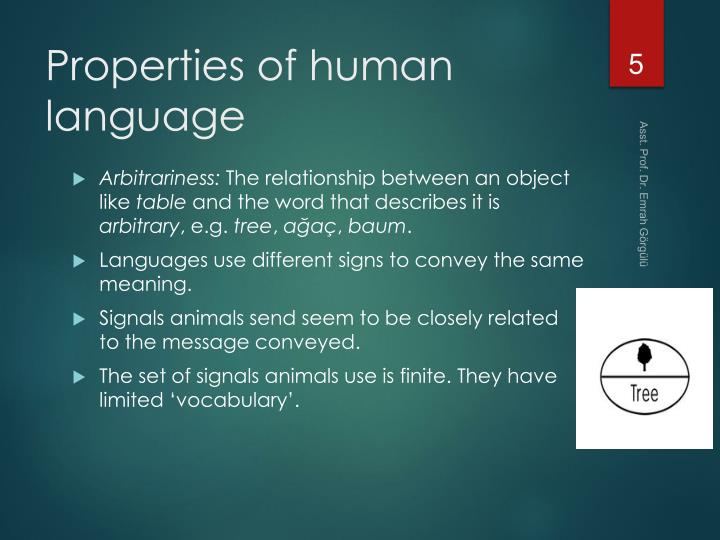 PPT - Lecture 3 Animals and Human Language PowerPoint Presentation - ID ...