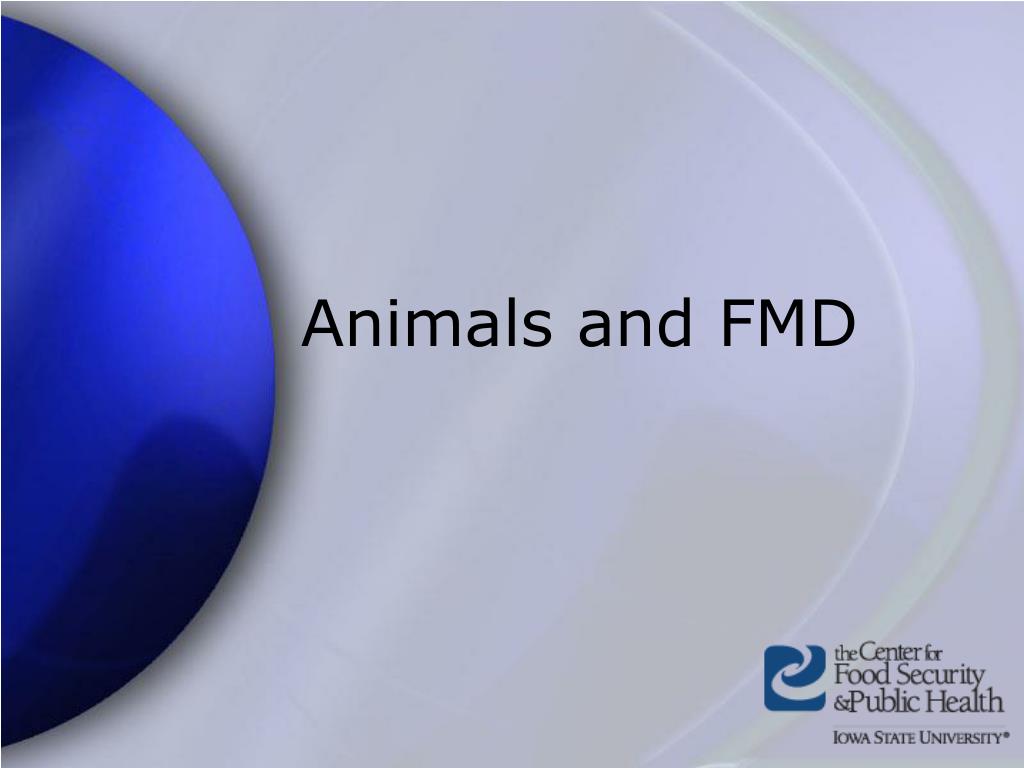 PPT - Foot and Mouth Disease PowerPoint Presentation, free download ...