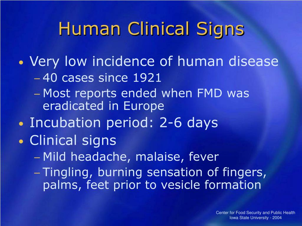 PPT - Foot and Mouth Disease PowerPoint Presentation, free download ...