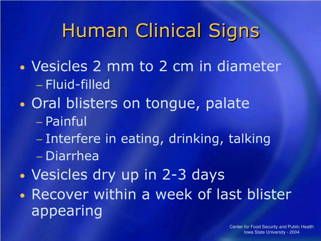 PPT - Foot and Mouth Disease PowerPoint Presentation, free download ...