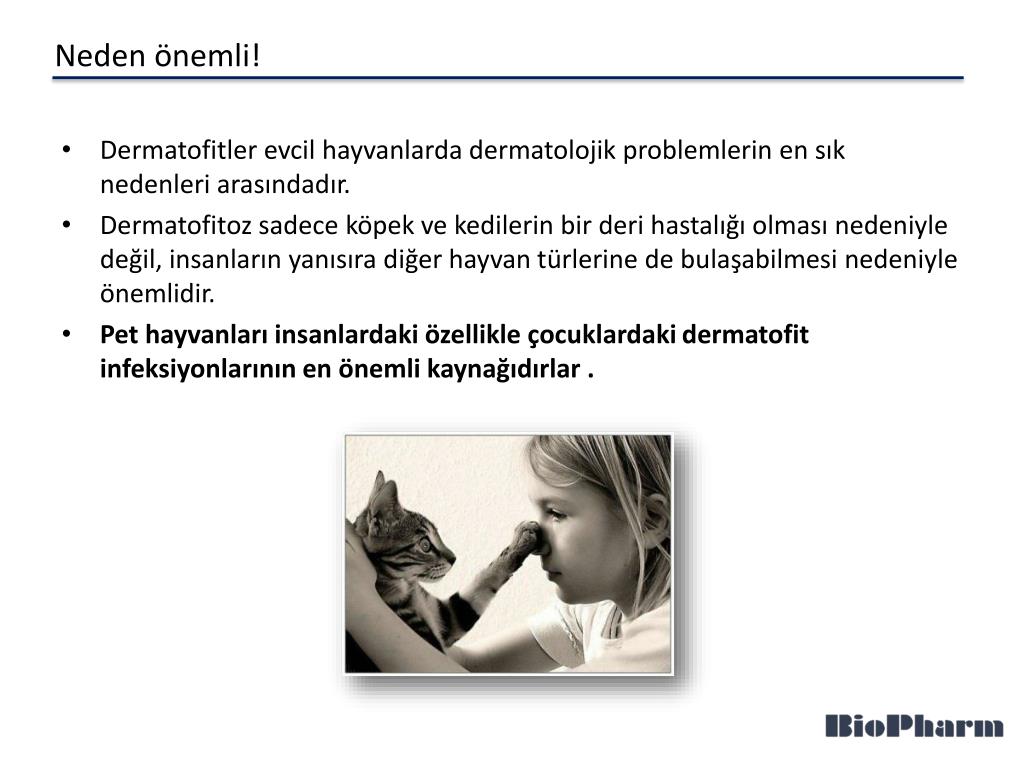 PPT - VAKDERM Yeni Nesil Mantar Aşısı PowerPoint Presentation, free ...