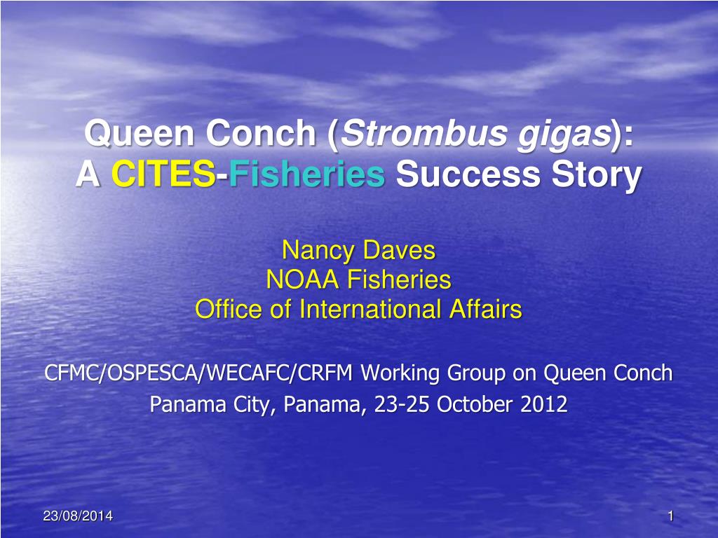 PPT - Queen Conch ( Strombus gigas ): A CITES - Fisheries Success Story ...